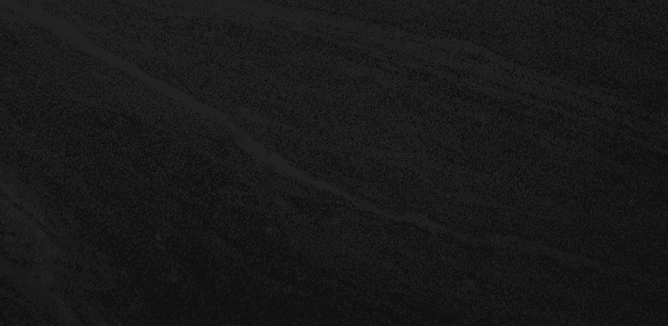 Software as a Service - Savant