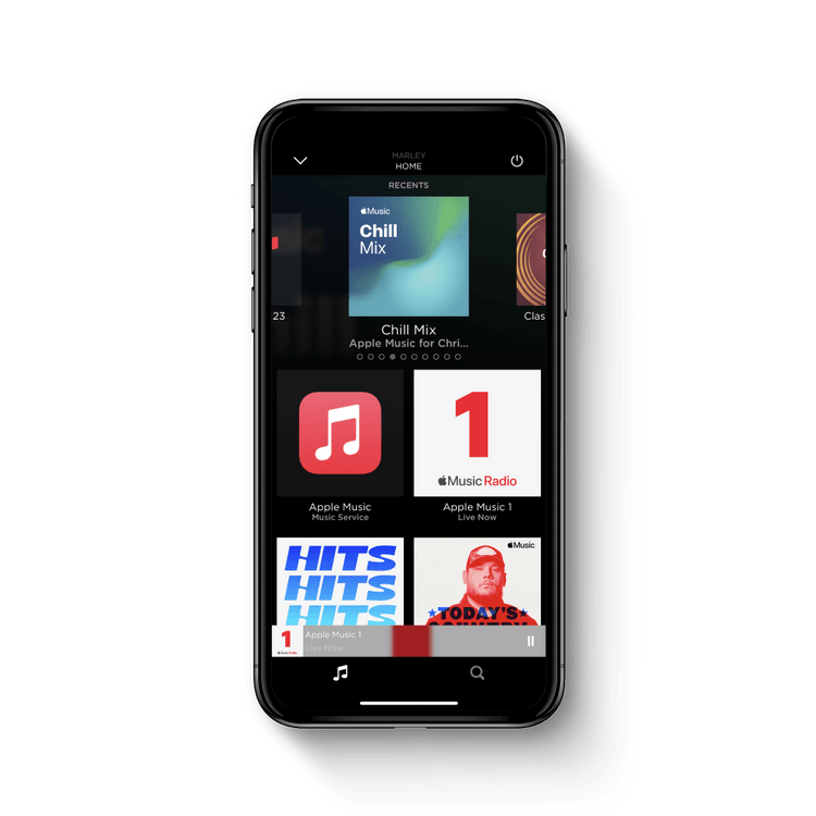 Whole Home Audio - Savant