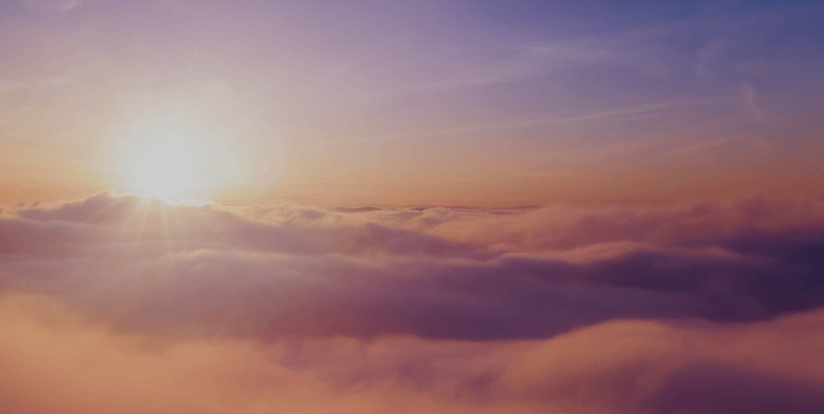 Software as a Service - Savant