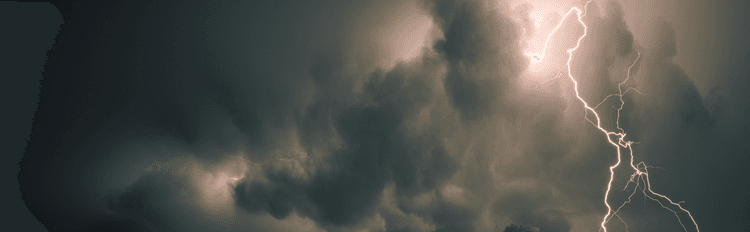 Companion Modules - Savant