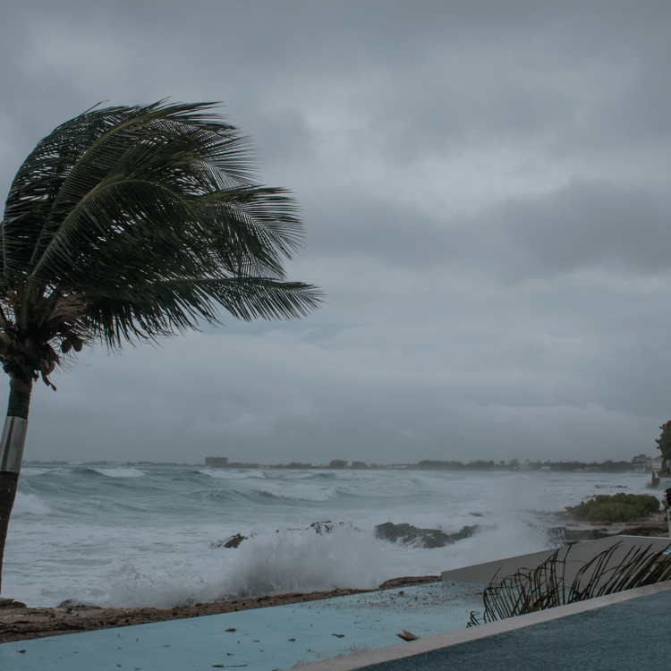 Installation Process - Savant