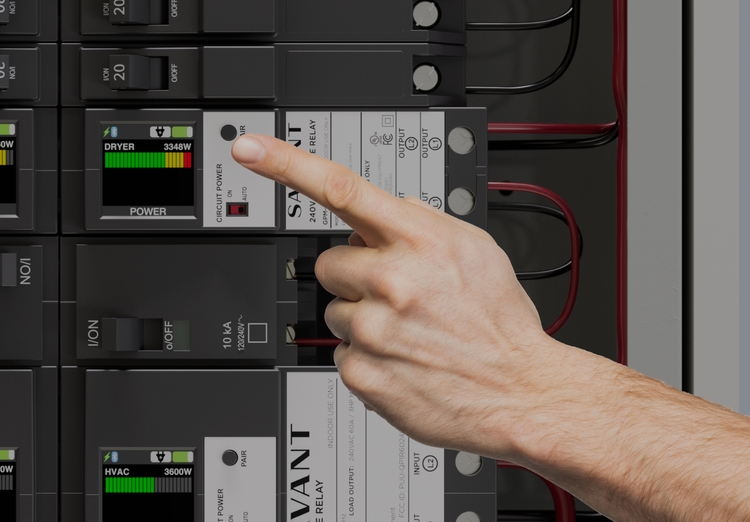 Installation Process - Savant