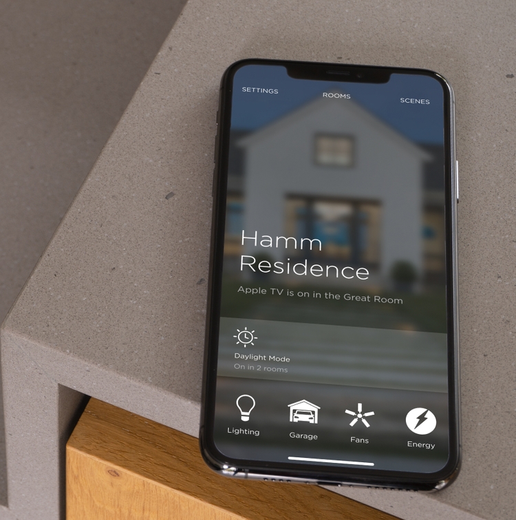 Company Info - Savant