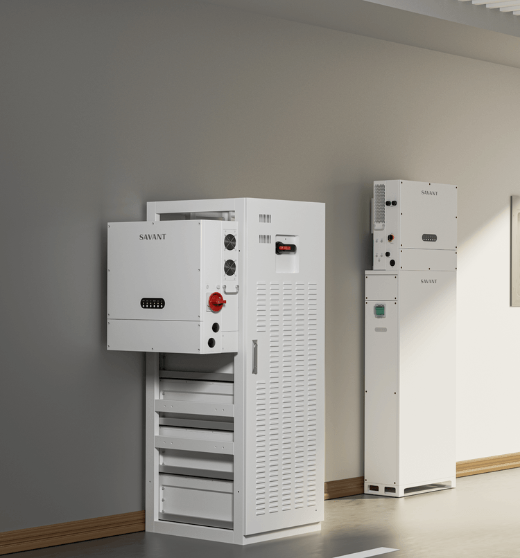 Scalable Storage Systems - Savant